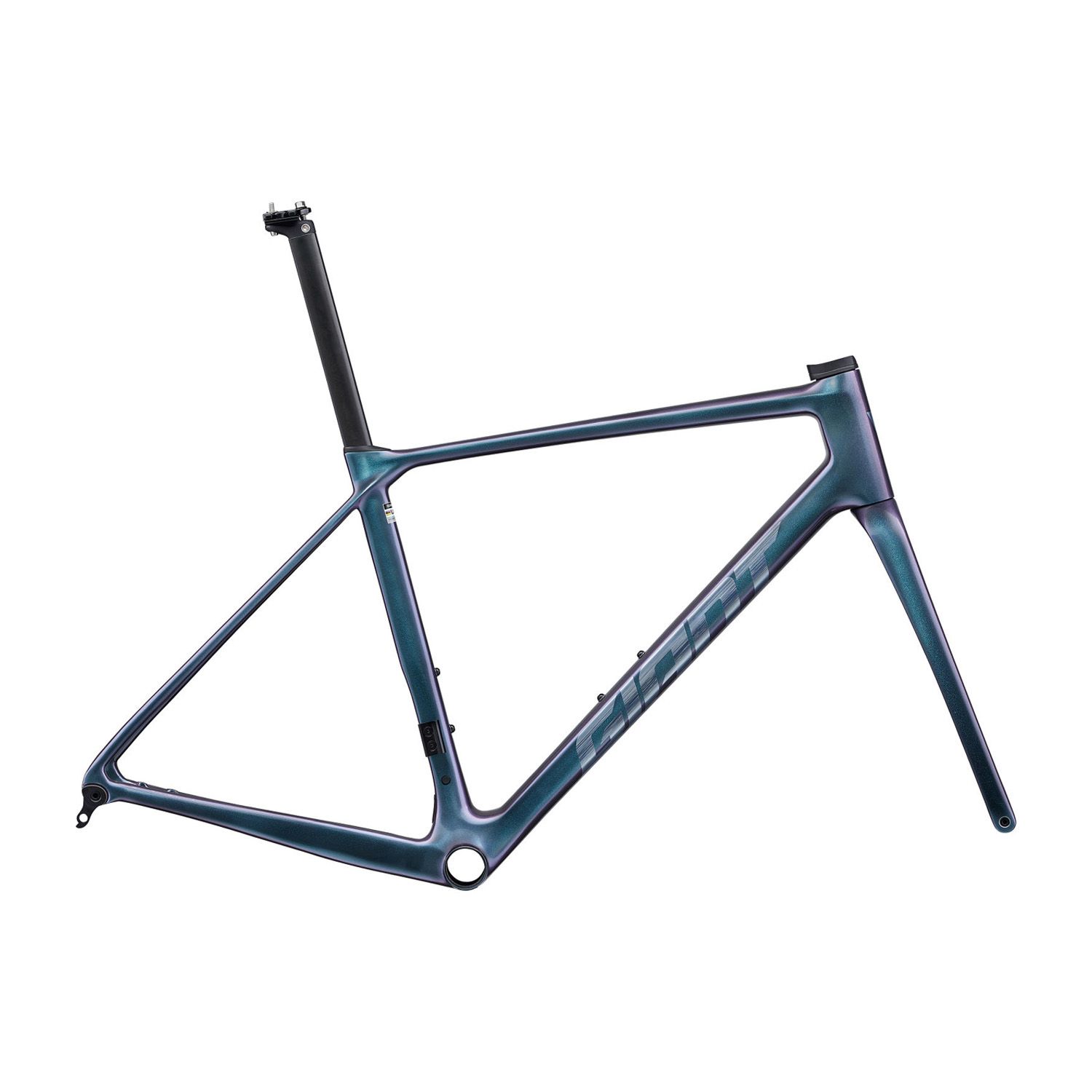 Giant TCR Advanced Pro - Superlicht frameset | Rullens Fietsen