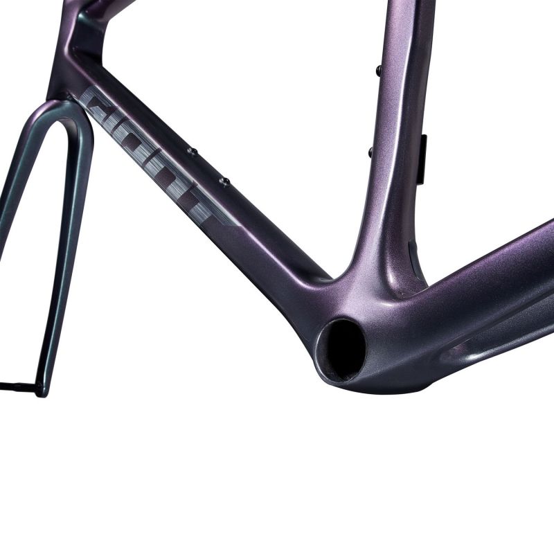 Giant TCR Advanced Pro - Superlicht frameset | Rullens Fietsen
