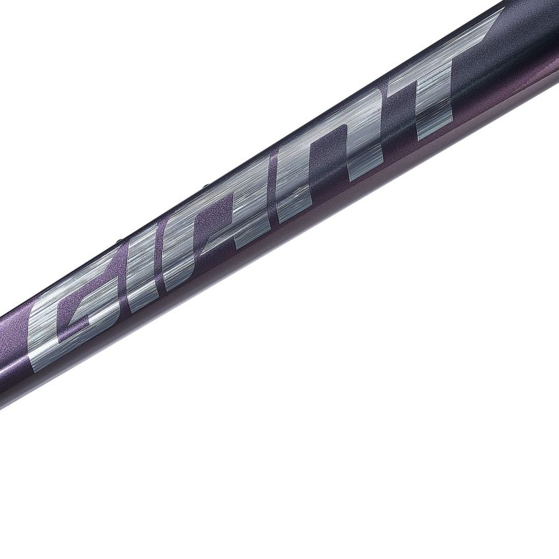 Giant TCR Advanced Pro - Superlicht frameset | Rullens Fietsen