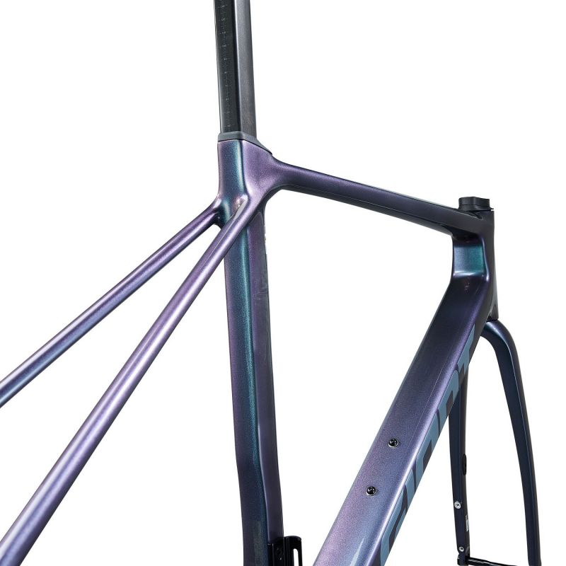 Giant TCR Advanced Pro - Superlicht frameset | Rullens Fietsen